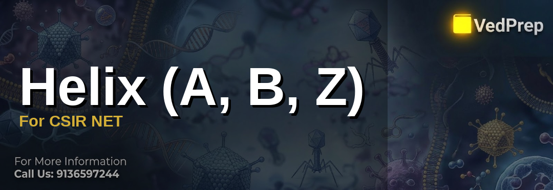 Understanding Helix A B Z For CSIR NET : A Comprehensive Guide in 2026 ...